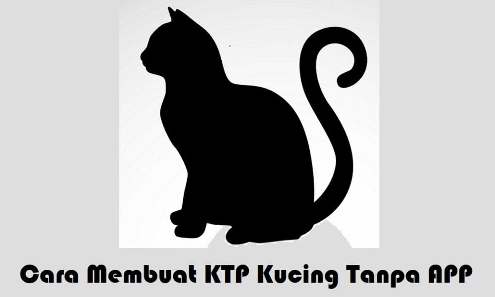 Cara Membuat KTP Kucing Tanpa Aplikasi di Android - Inwepo