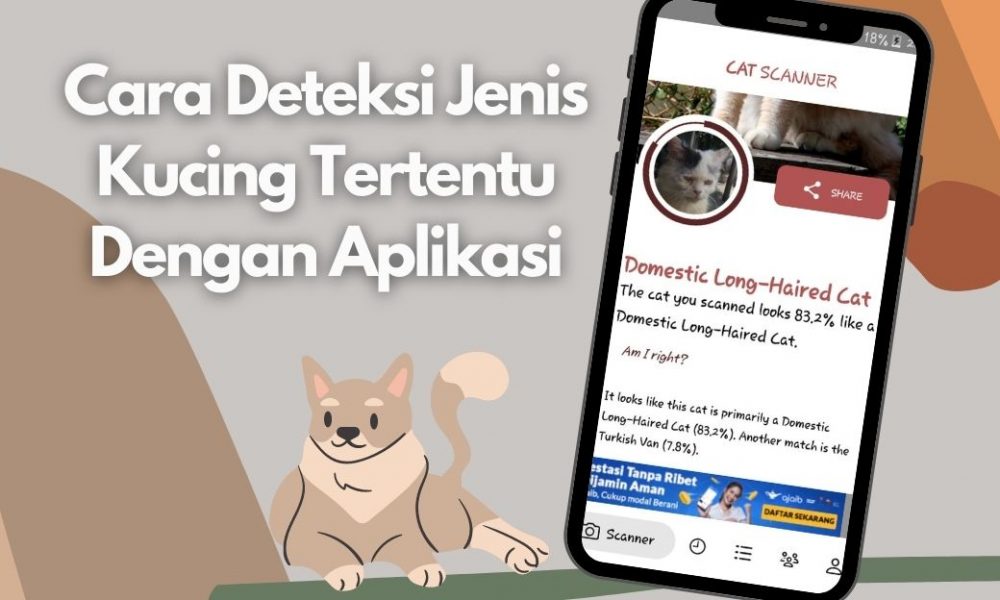 Cara Mudah Mengetahui Jenis Kucing Tertentu Dari Kamera Android Inwepo