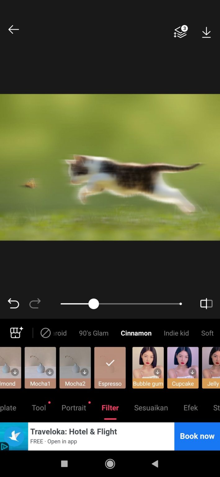Cara Edit Foto Efek Panning dengan Mudah - Inwepo